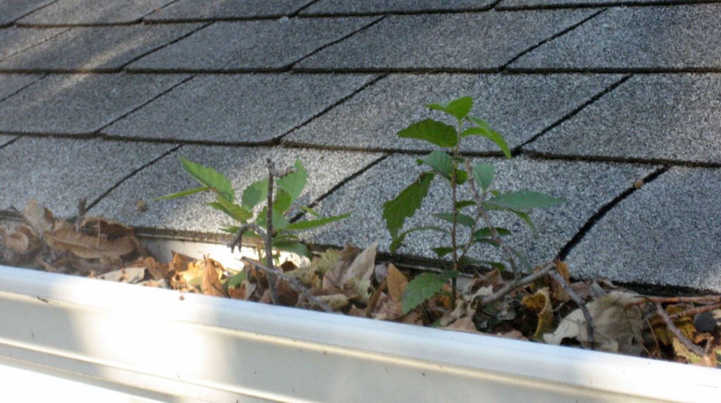 Choose Leafaway to Prevent Clogged Gutters Before They Start